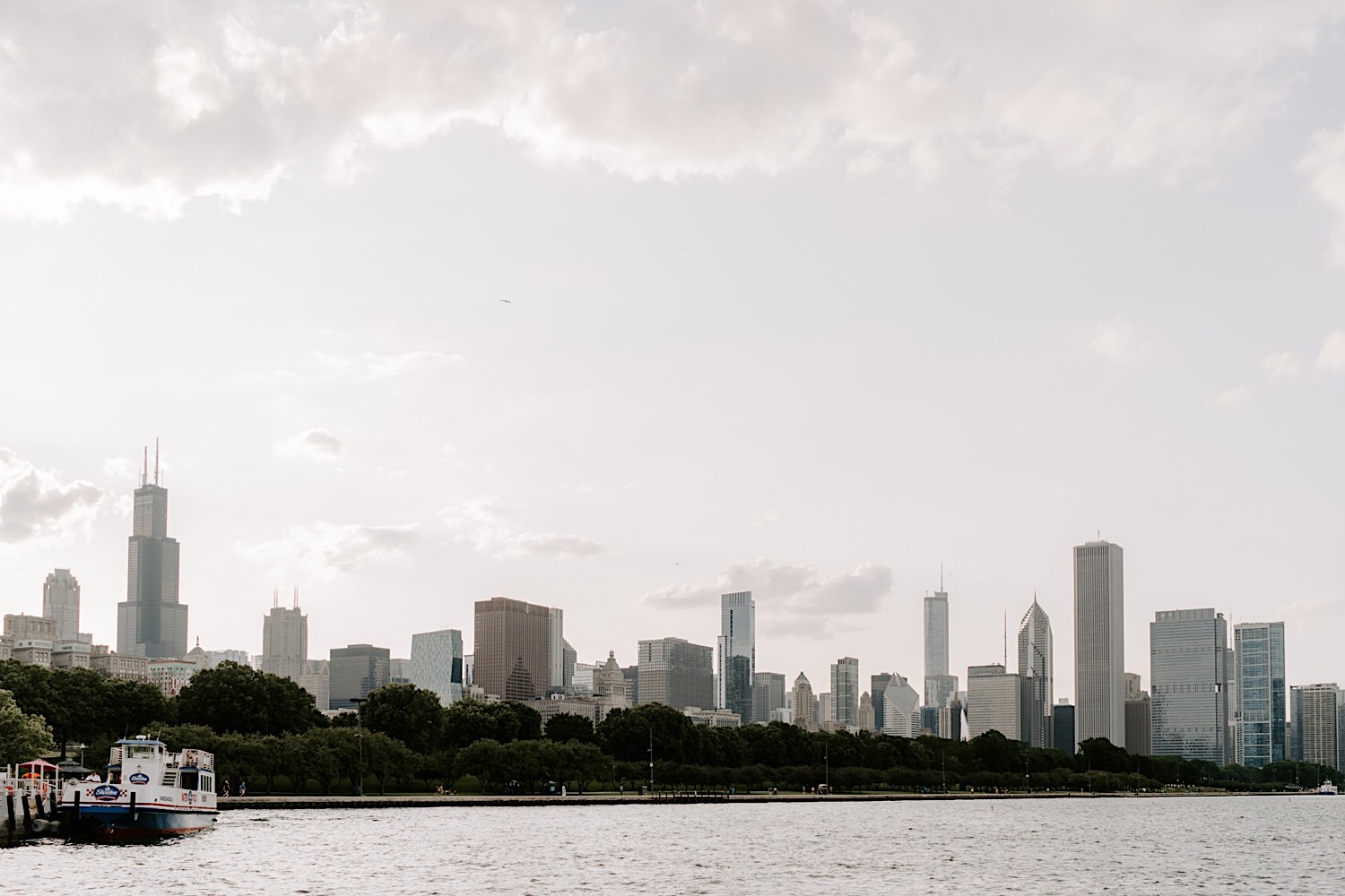 Sunset Engagement Session at Chicago's Museum Campus | Halle + Steven ...